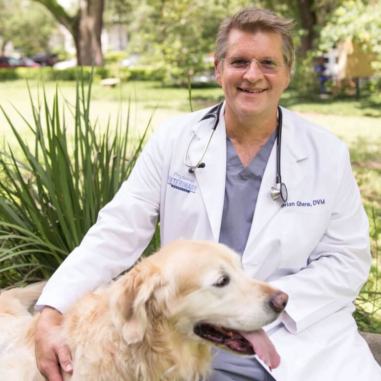 Brian Ghere, DVM - Prytania Veterinary Hospital