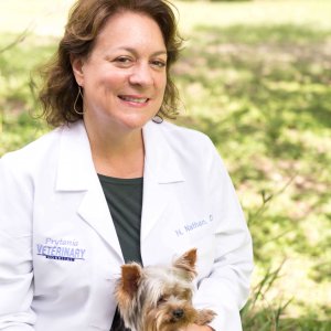 Nancy Nathan, DVM - Prytania Veterinary Hospital