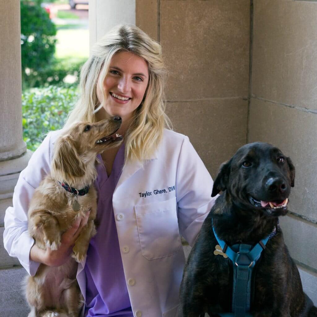 Taylor Smith, DVM - Prytania Veterinary Hospital