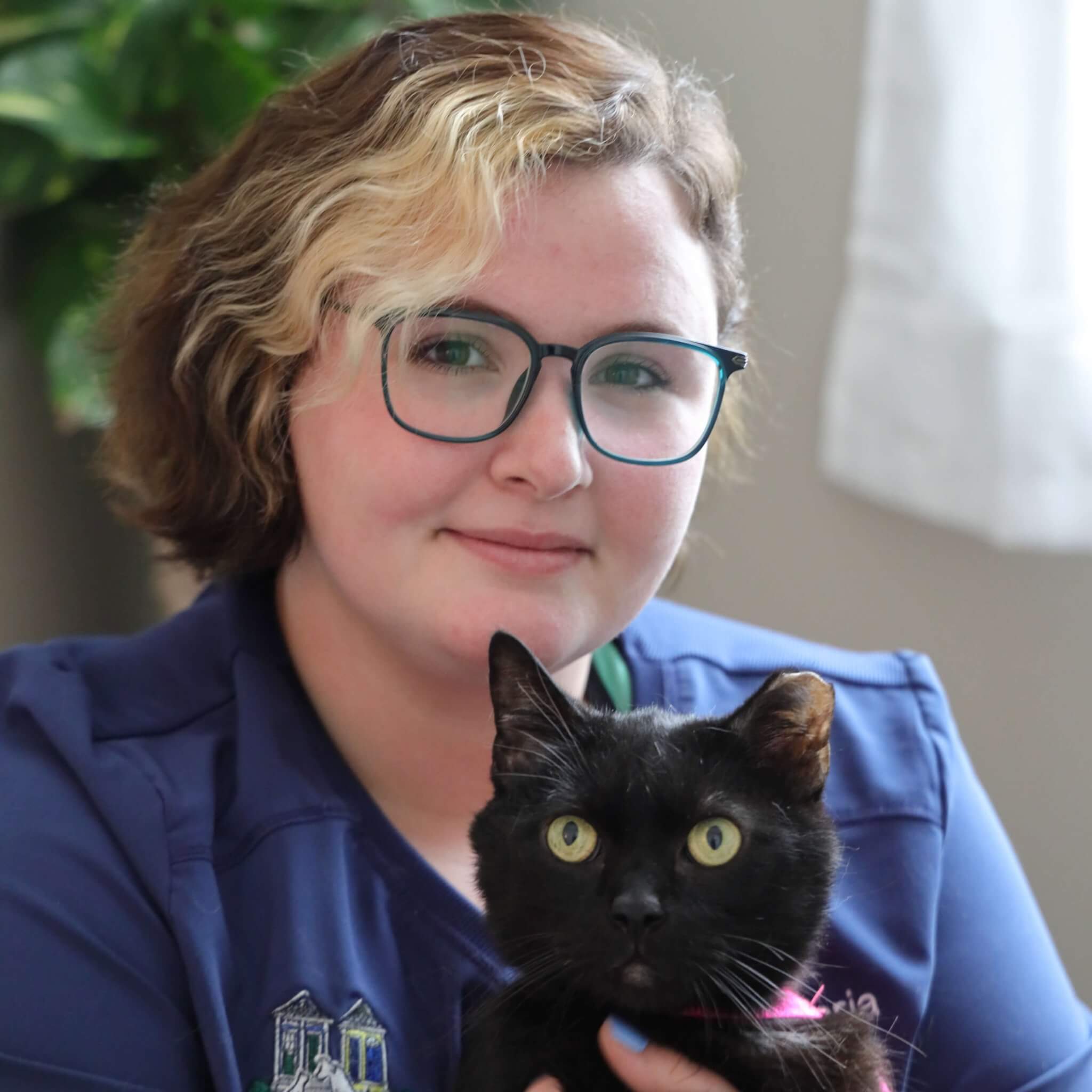 Victoria - Prytania Veterinary Hospital